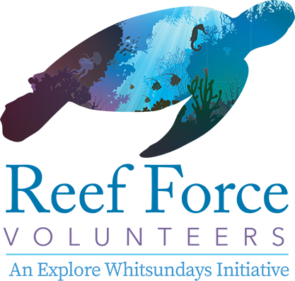 Reef Force Volunteer Tourism