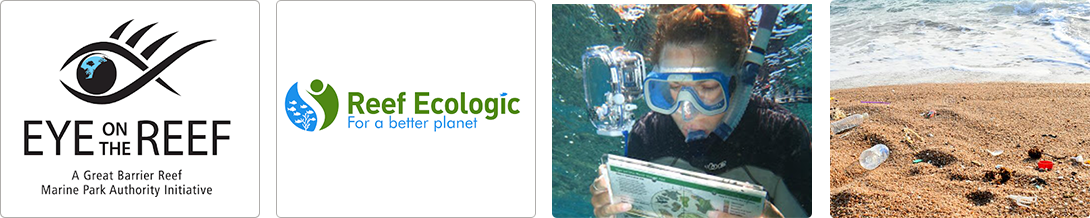 Reef Force Volunteer Tourism