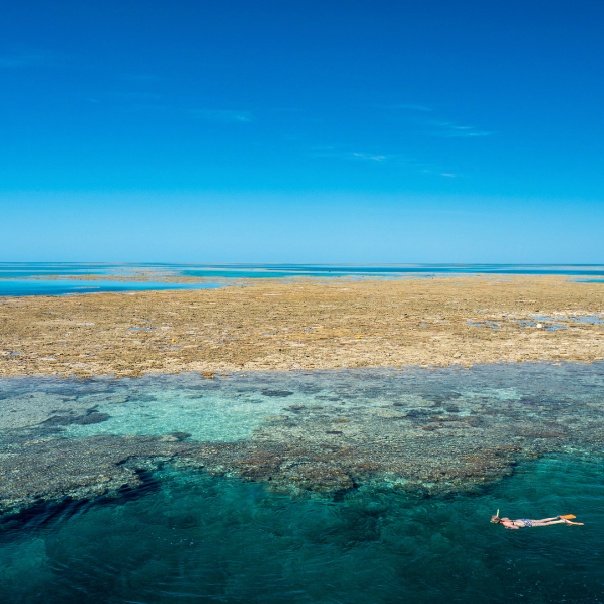 16 Breathtaking Photos That Will Make You Fall In Love With The ...